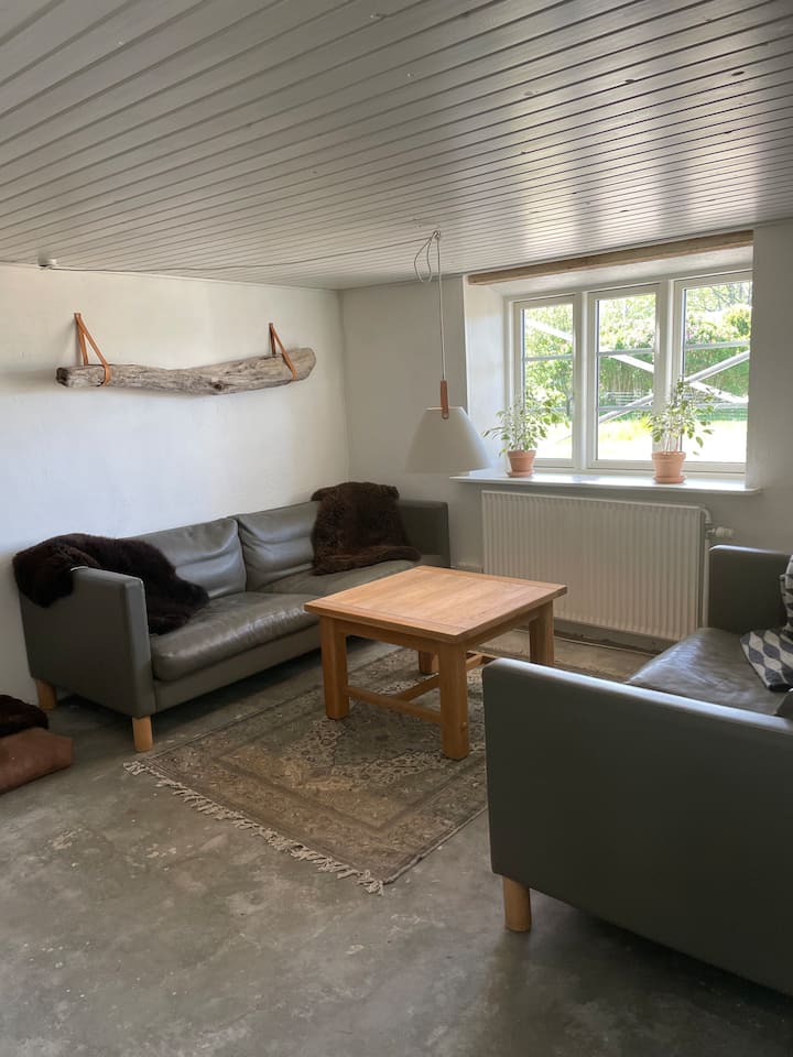 Frirummet I Nationalpark Thy. - Klitmøller