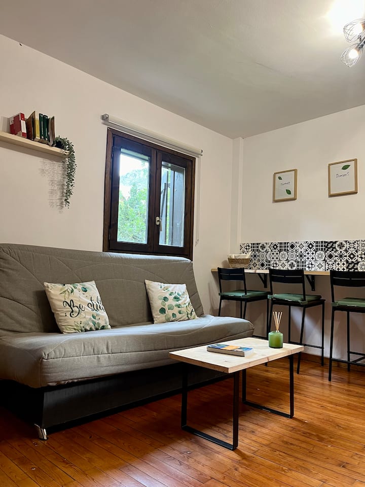 Acogedor Estudio A 10min. De Pistas De Esquí - Taüll