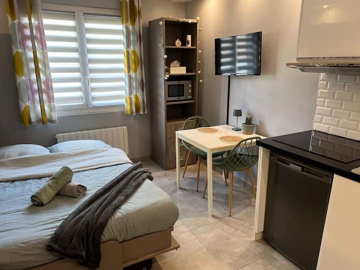 Studio Cosy Près Paris-transports-aéroport-disney - Créteil