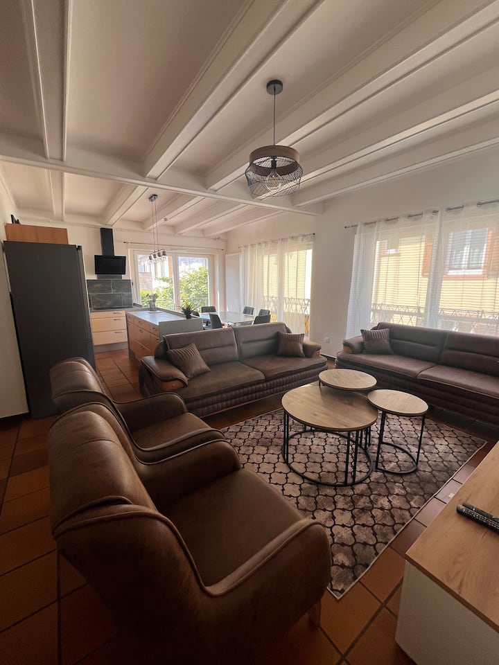 Appartement 120m² Schiltigheim - Brumath