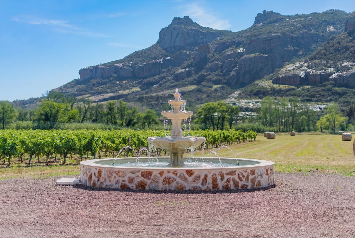 Grenache - Apartments for Rent in Le Muy, Provence-Alpes-Côte d'Azur ...