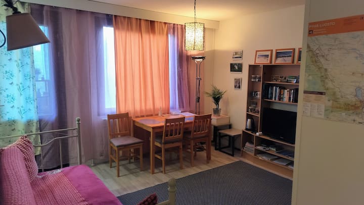 Mukava Yksiö Rauhallisessa Talossa - Kemijärvi