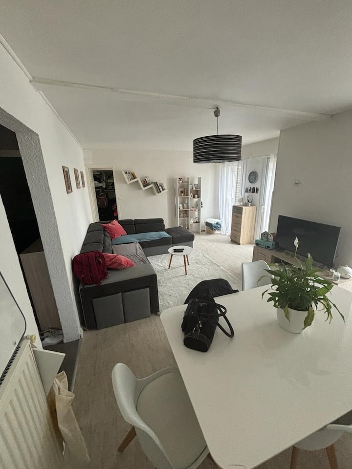 Pour 4 Voyageurs Ou à Partager. - Seclin