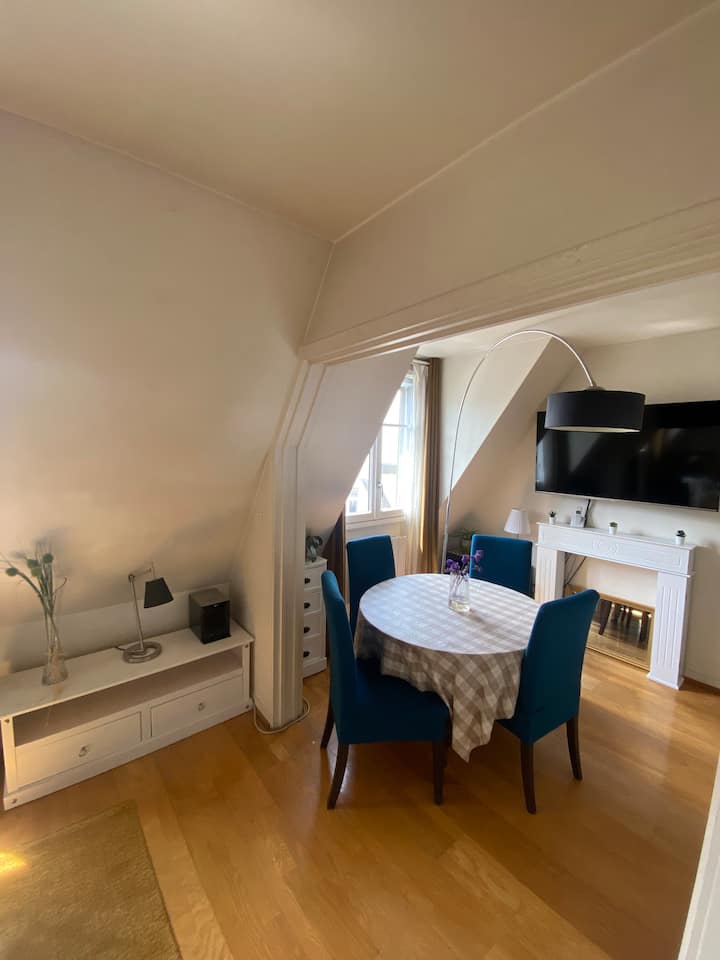 Appartement Le Louis Xi Duplex 4/6 Pers + Parking - Orléans