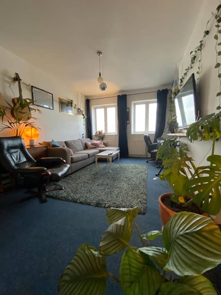 2 Bed Top Floor Flat, 7 Dials - Brighton