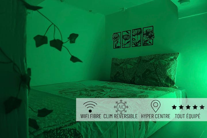 Jungleroom Connecté ! Au Cœur Du Vieux Nice - Aéroport de Nice Côte d'Azur (NCE)