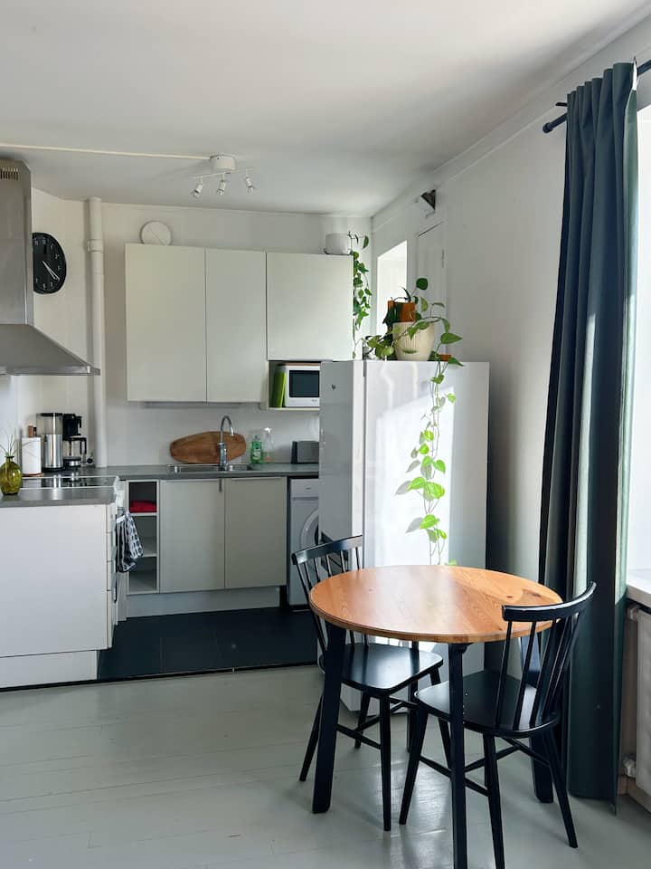 Viihtyisä Yksiö Kalliossa - Helsinki