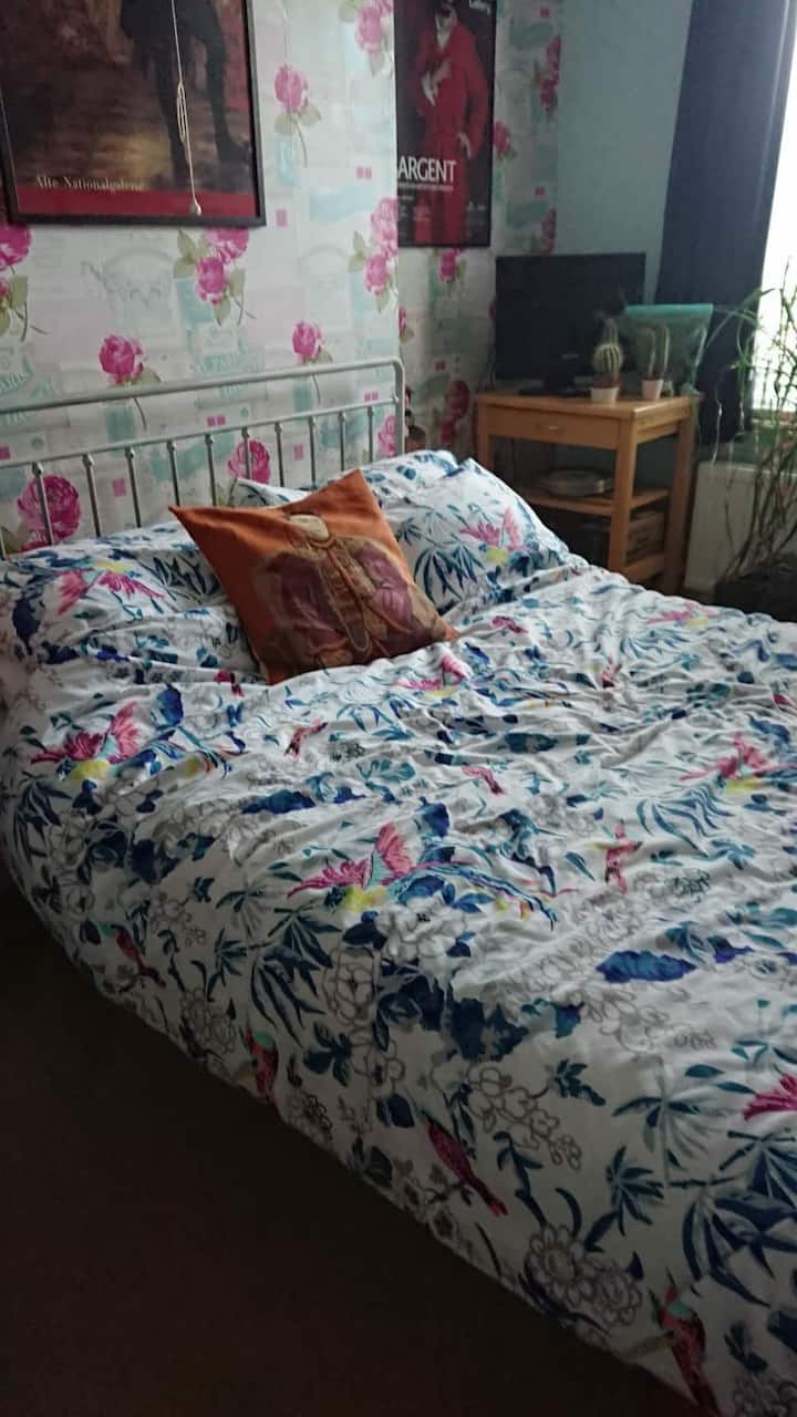 Cozy Room In Scarborough! - Scarborough