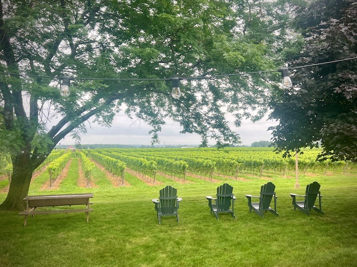 1998 Cottage-charming Bungalow With Vineyard View - Niagara-on-the-Lake