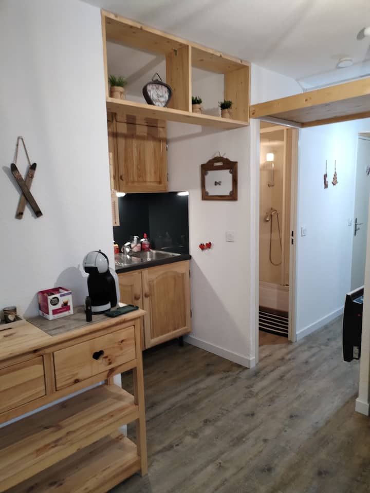 Appartement Tout Confort 50 Mètres Des Pistes. - La Foux d'Allos