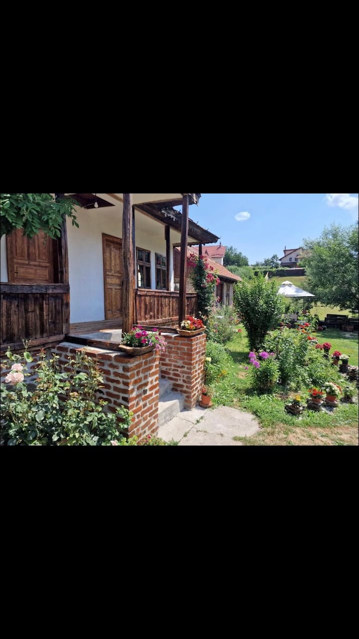 Silviahause - Curtea de Argeș