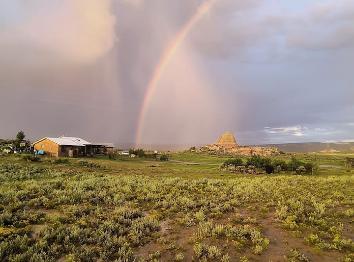 Starrynight Ranch - Regina