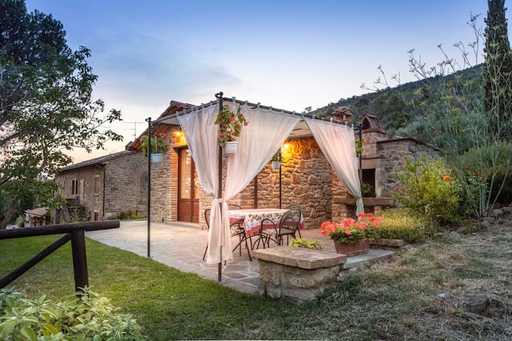 Il Risveglio - Cortona