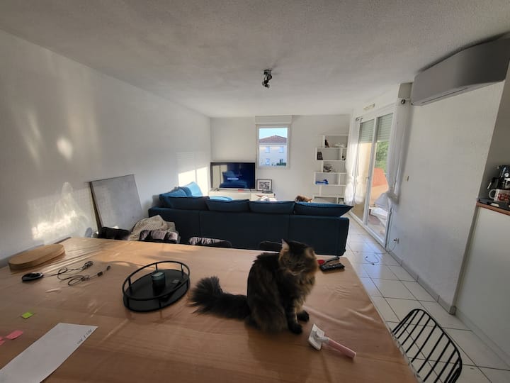 Appartement Lumineux Avec Balcon & Piscine - Libourne
