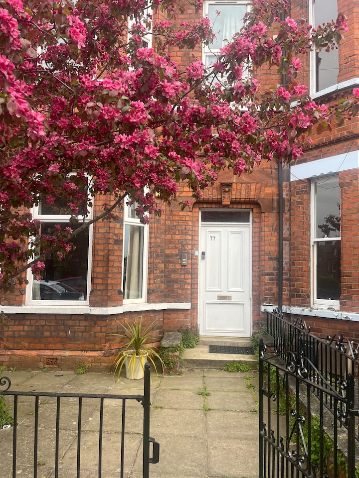 Flat A @ Malone Avenue - Belfast