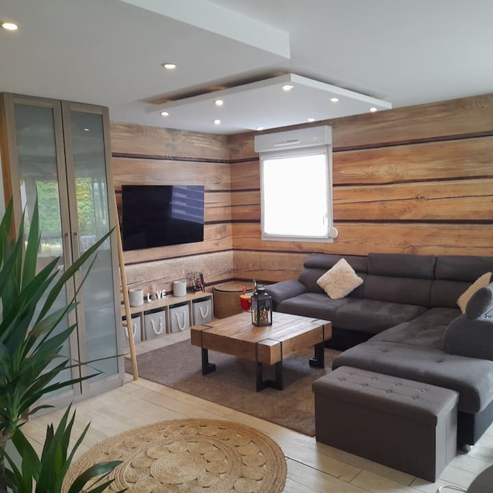 Logement Familial T4 Duplex En Campagne - Rumilly