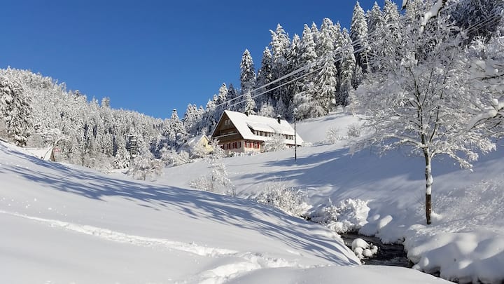 Neue Fewo Auerhahn - Reichenbacher Hof, Waldrand - Freudenstadt