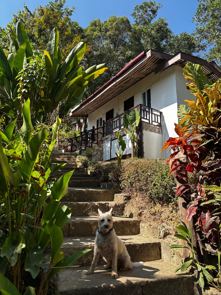 Hillside House, El Nido - El Nido