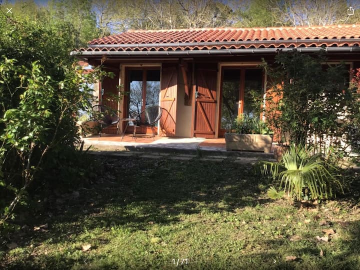Gîte De Gascogne.
Vue Pyrénées 400 M Du Centre . - Lectoure
