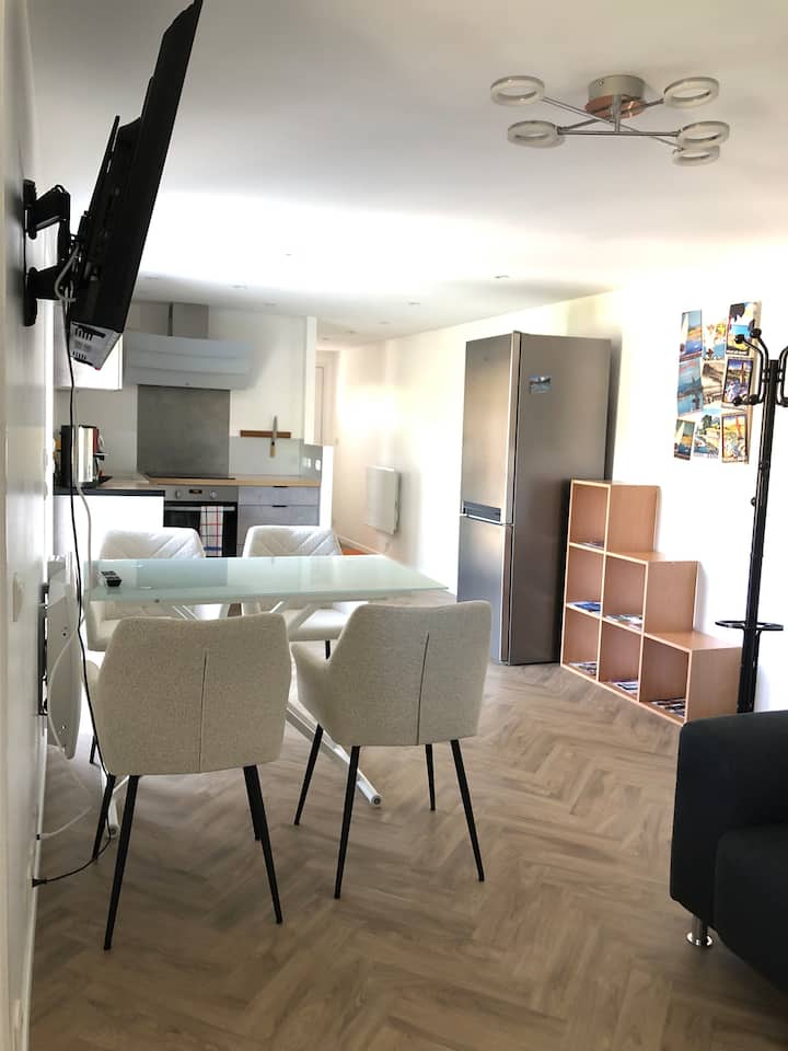 Joli T2 De 45 M² Vue Dégagée - Thonon-les-Bains