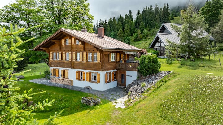 Lake And Mountain View Chalet , Fireplace + Garden - Brienz