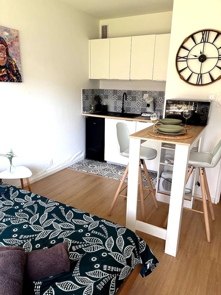 Au Cosy Studio Ii Proche Europapark - Schwanau