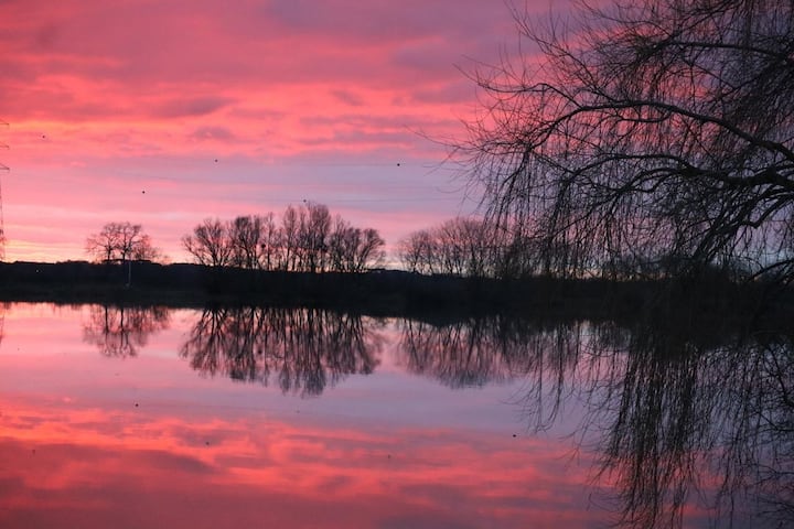 Villa En Bord De Garonne - La Brède