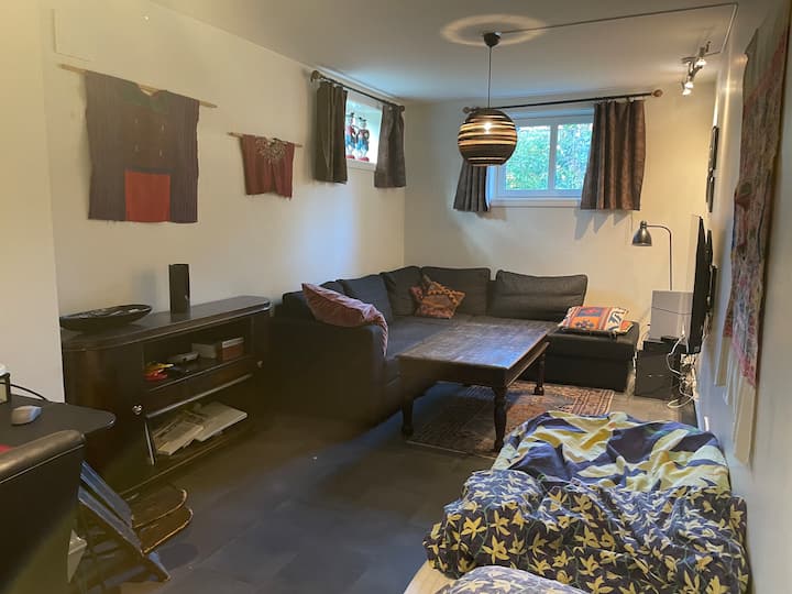 Living Room In Basement - Oslo