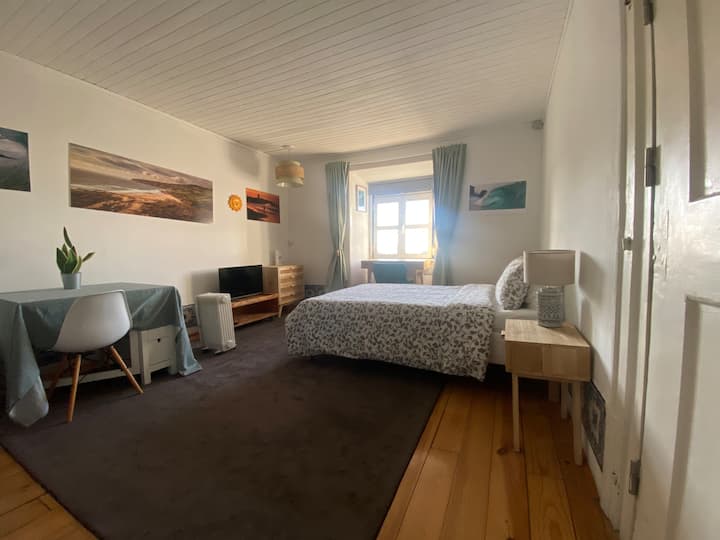 New! Rato Green - Campo de Ourique