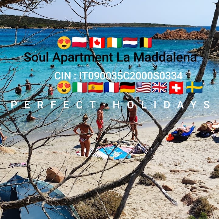 Soul Apartment
  La Maddalena - La Maddalena
