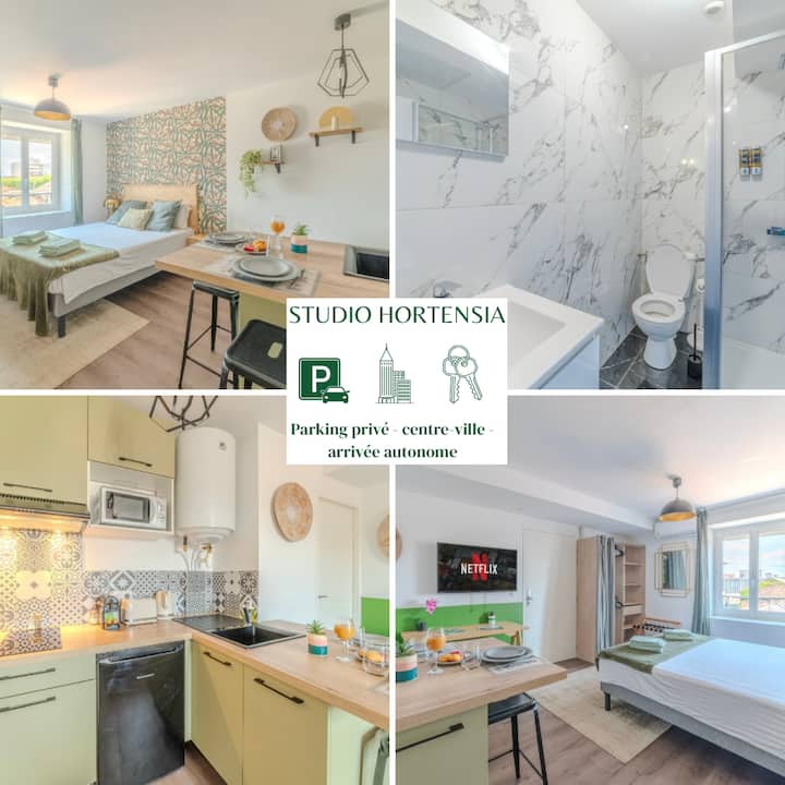 Hortensia Parking & Clim - Roanne Centre-ville - Roanne