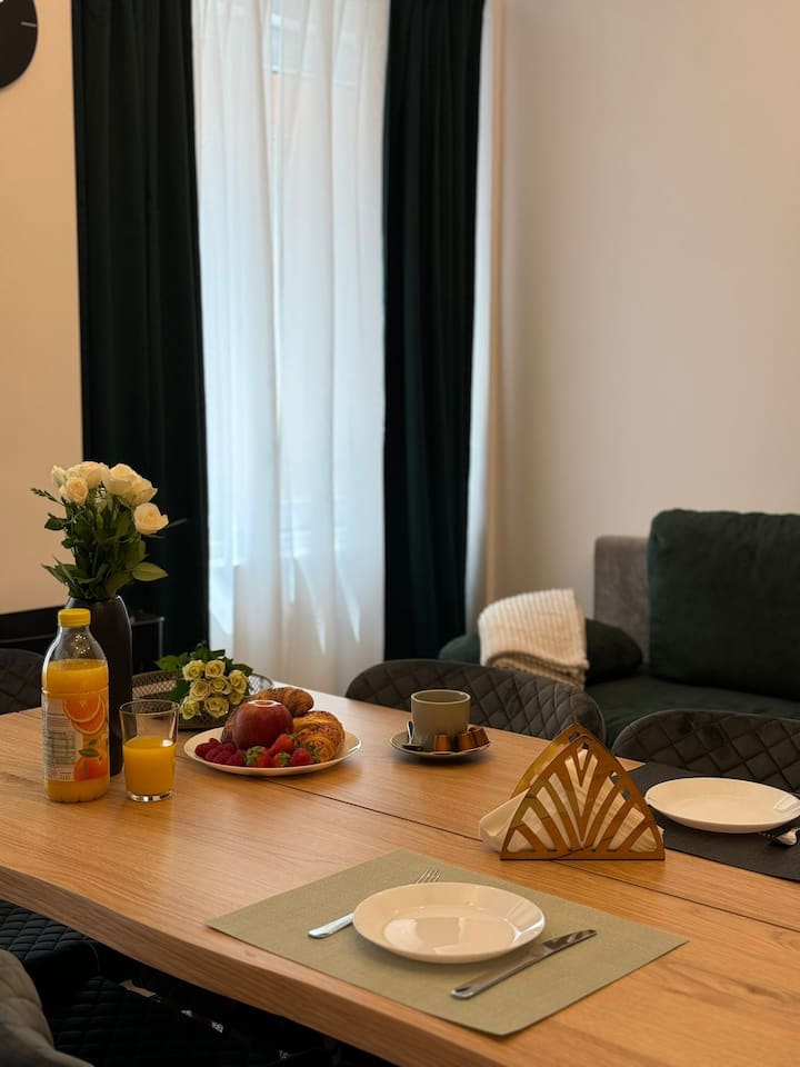 Aj Apartment Unirii Square - Timișoara