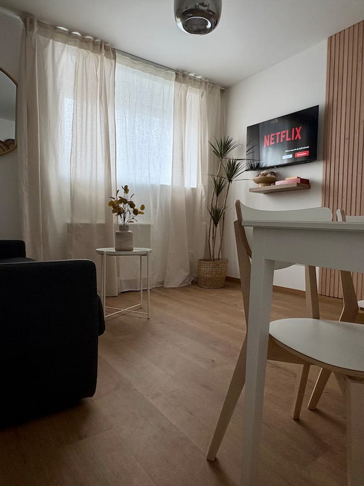 Cocon Scandinave En Duplex à Lille Sud - Lille