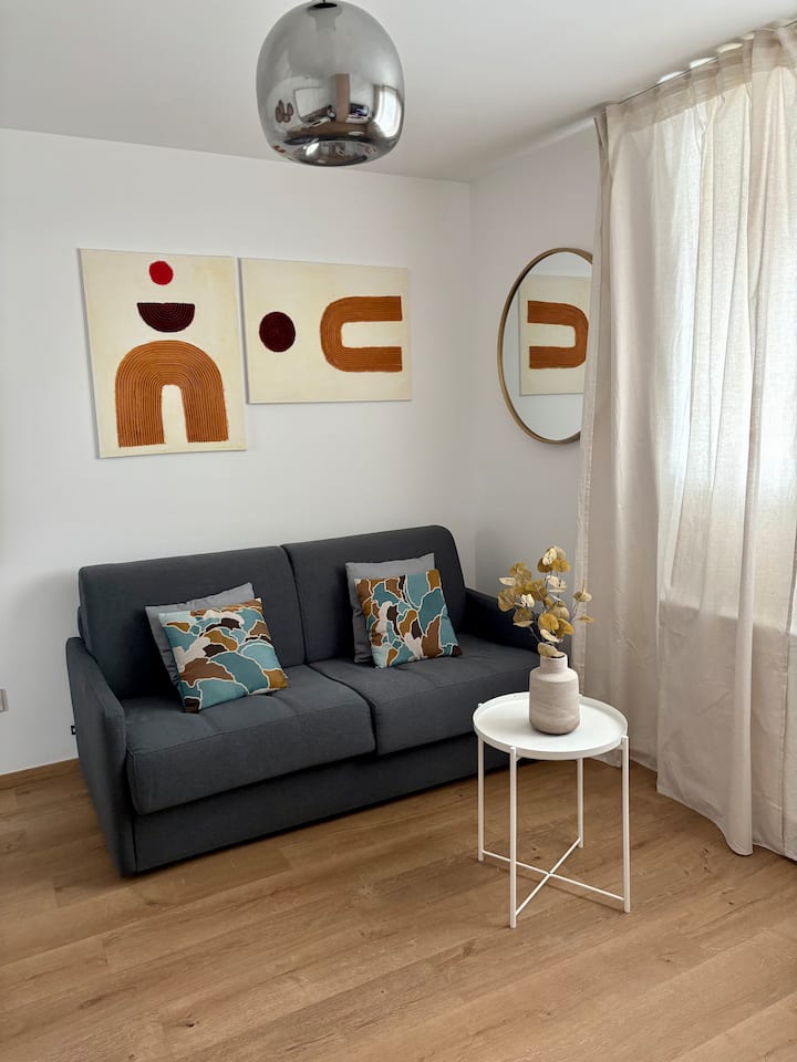 ÉLégance Nordique En Duplex à Lille Sud - Lille