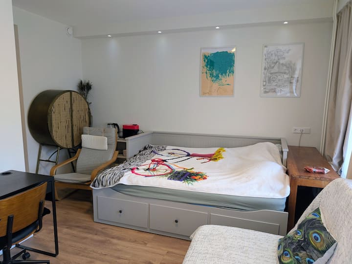 Double Room With Private Bathroom - Weesp
