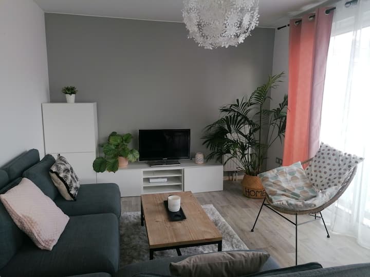 Appartement Calme Lille Parking Et Terrasse Privés - Lille