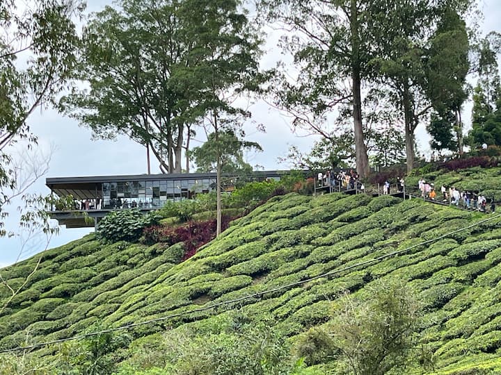 The Retreat Mountain & Sunrise@cameron Highlands - Brinchang