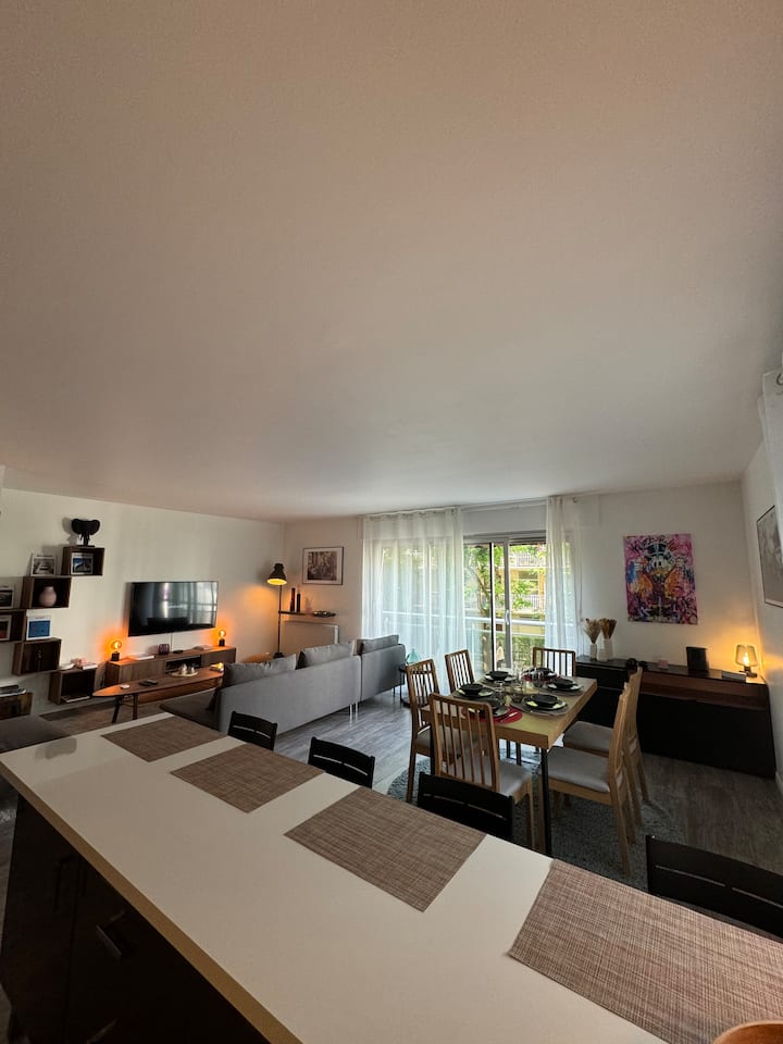 Magnifique Appartement - Saint-Maur-des-Fossés