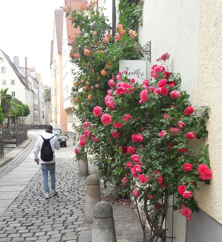 Augsburg Altstadt Schönes Zimmer In Cooler Wohnung - Augsburg