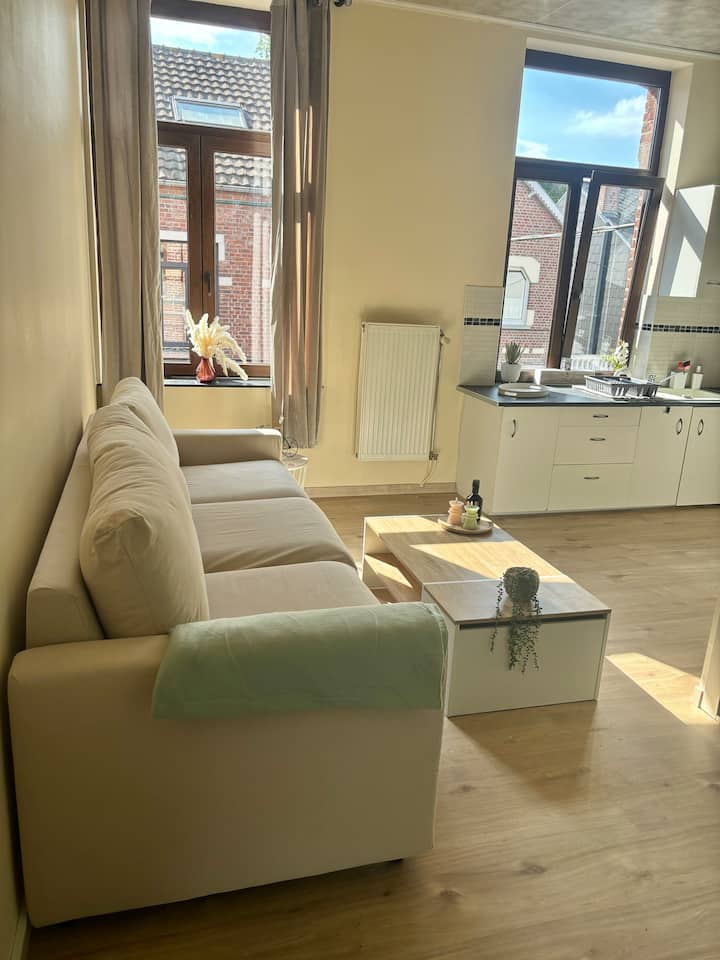 Appart Cosy - Mons