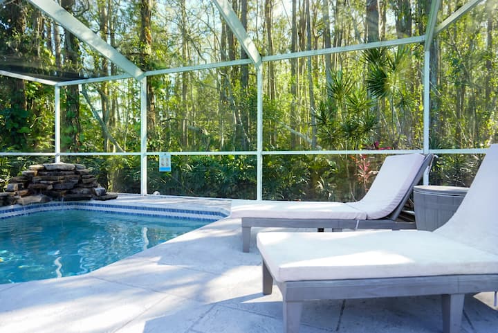Paradise In Palm Harbor L Winter Getaway | Pool - Palm Harbor, FL