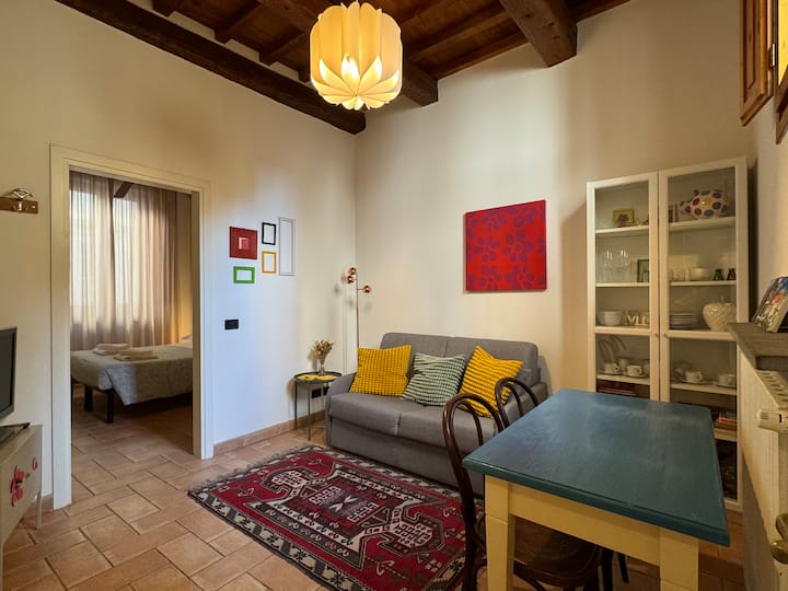 Duomo 1 - Alfani - Firenze