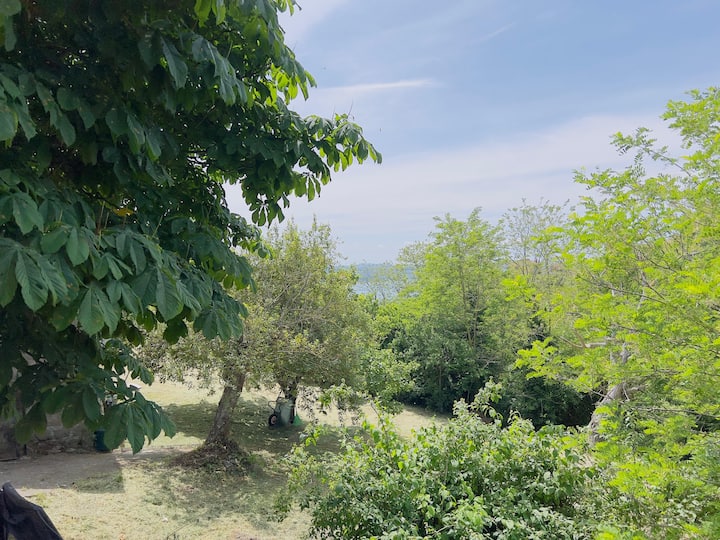 Casa Vista Lago - Montefiascone