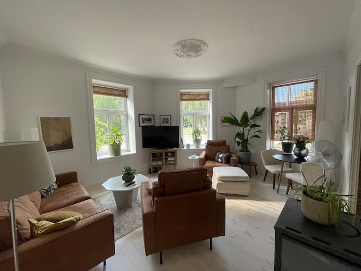 Classical 2 Bedroom Flat In Gamlebyen - Oslo
