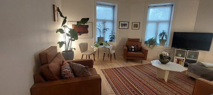 Classical Flat In Gamlebyen - Oslo