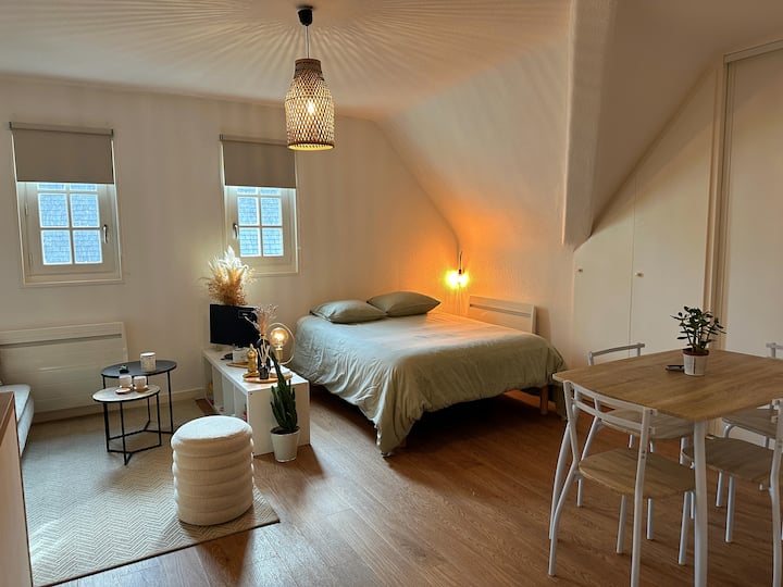 Studio En Plein Cœur De Vannes - Vannes
