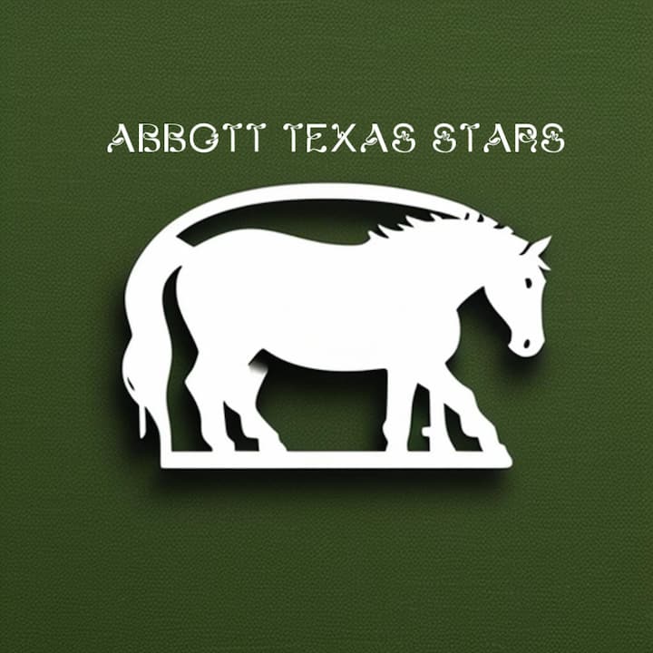 Abbott Retreat- 4min Walk To Ttu & 2 King Beds - Lubbock, TX