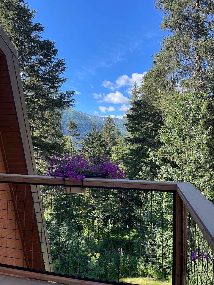 Top Of Our House - Anchorage