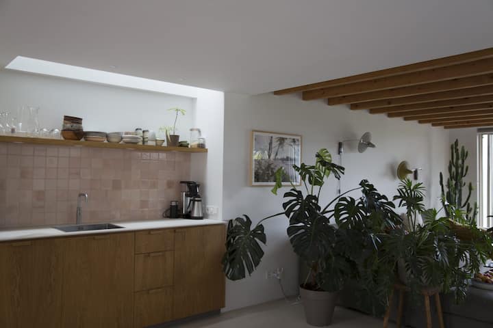 Design House With Garden & Cat - 阿姆斯特丹