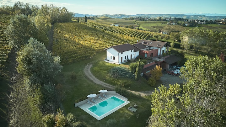 Vigne Dei Mastri - App. Albarossa - Piémont